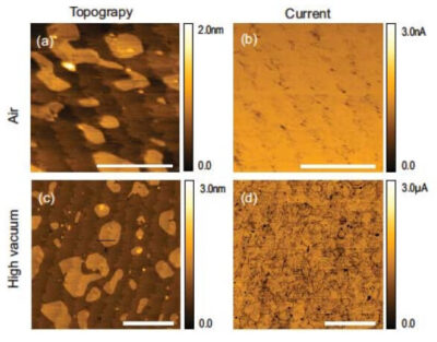 2D materials morphology and electrical property testing