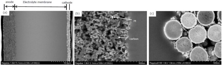 Cross-section observation of a fuel cell Membrane Electrode Assembly ...