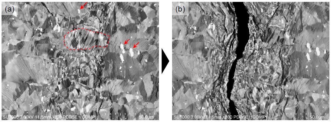 In-situ SEM observation of a tensile fracture process - ST Instruments