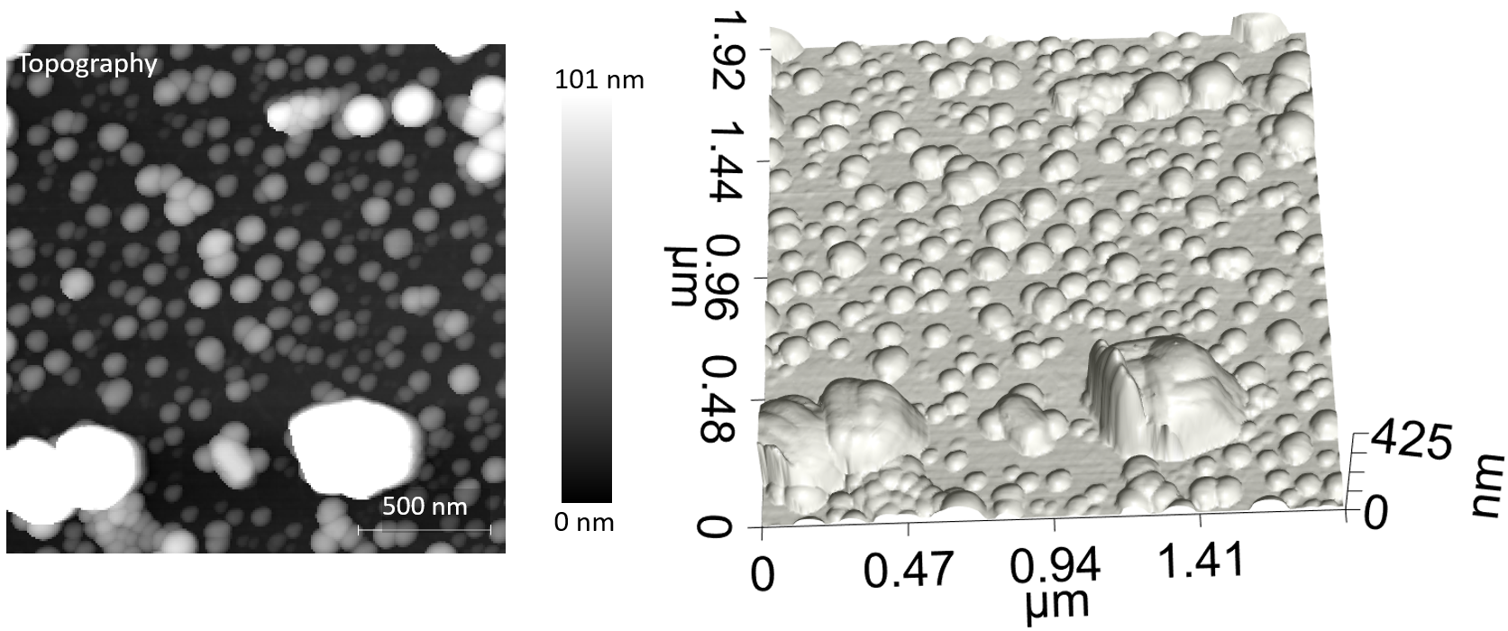 Analyzing Mixed Nanoplastics for Environmental Studies - ST Instruments