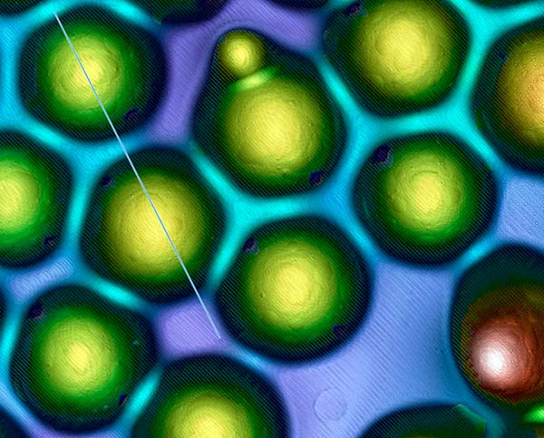 Characterization of Surfaces that Generate Structural Color by Total ...
