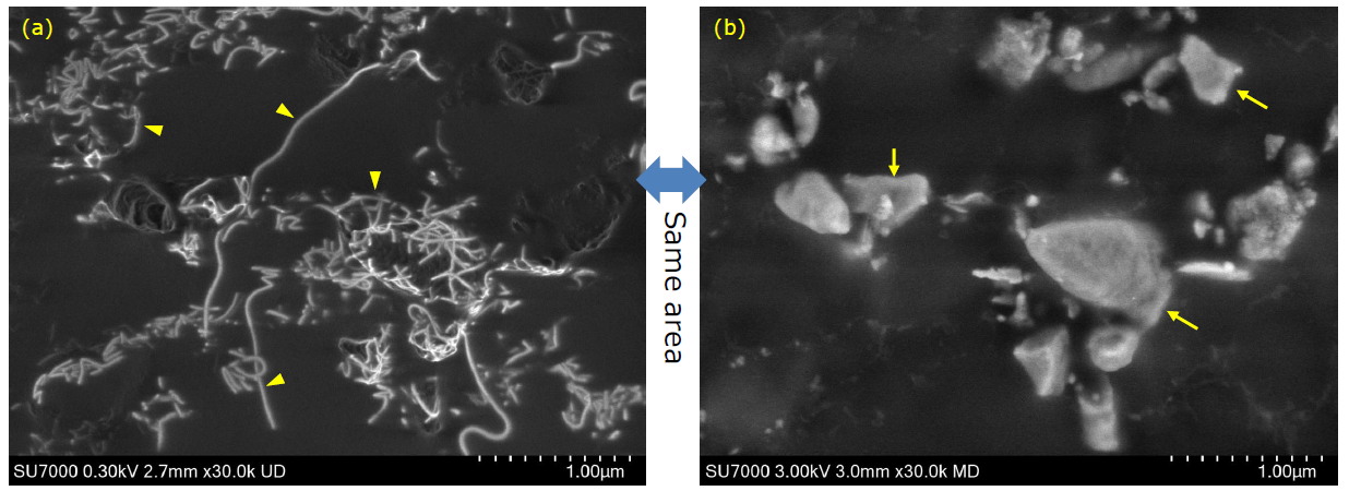 Voltage contrast imaging of carbon nanotube filler in rubber - ST ...